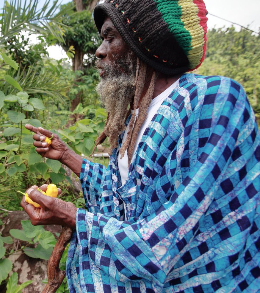 Grenada Stories – SV1 Wild Child